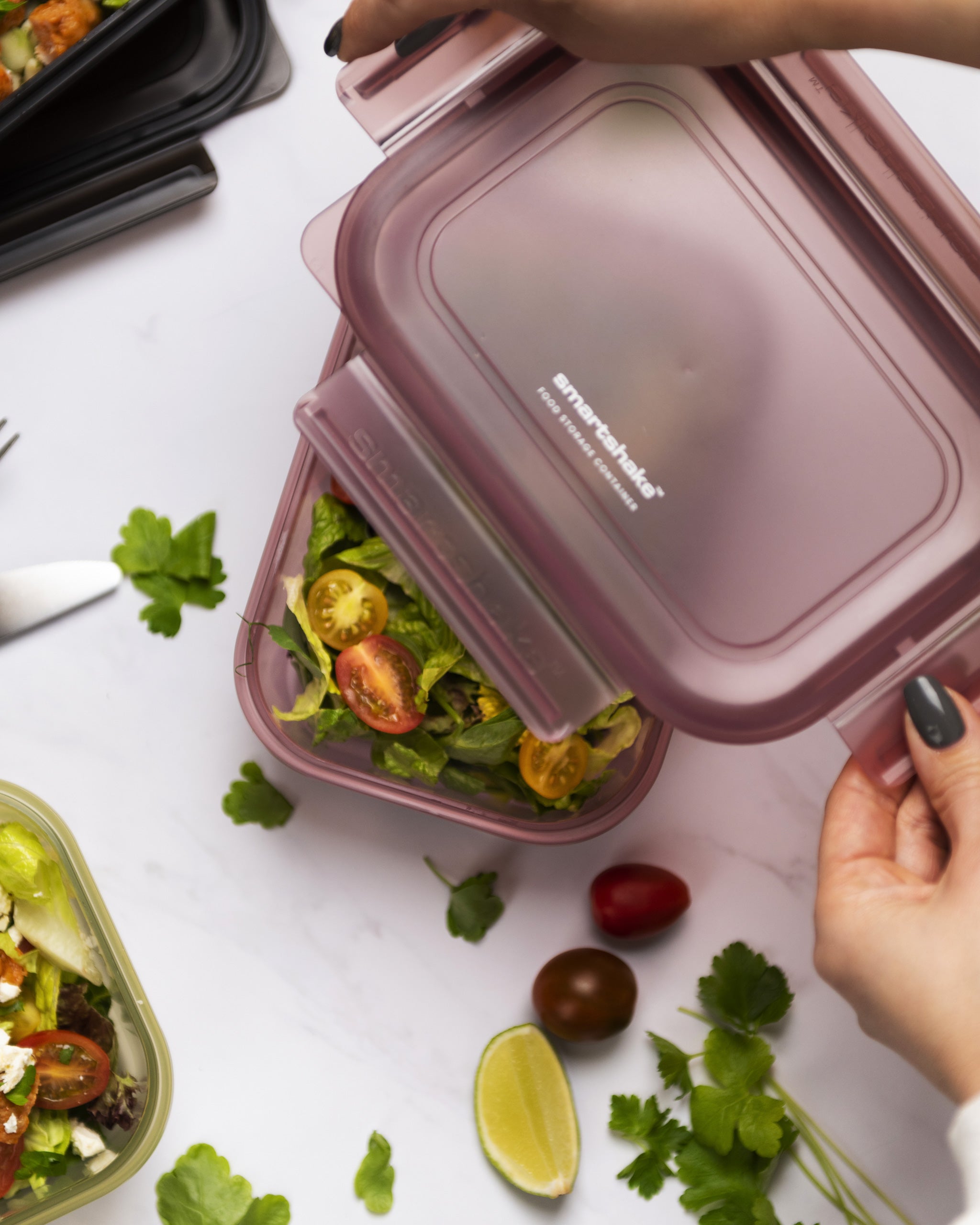 Food Storage Container Deep Rose – Smartshake